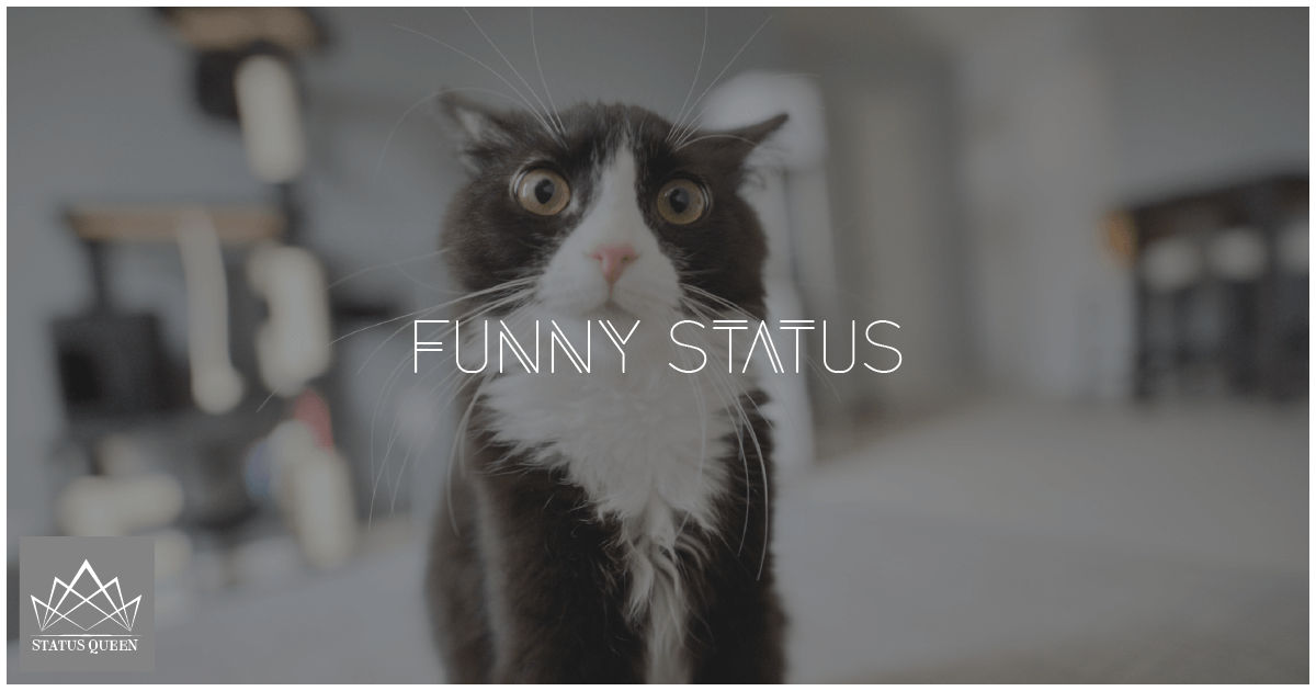 Funny Quotes Status for Whatsapp