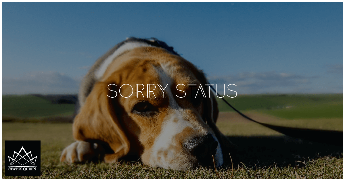 Sorry Quotes Status for Whatsapp